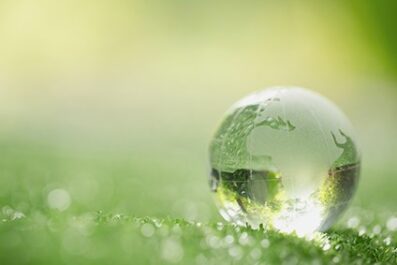 Noble Biomaterials develops bio-based fabric tech - Just Style